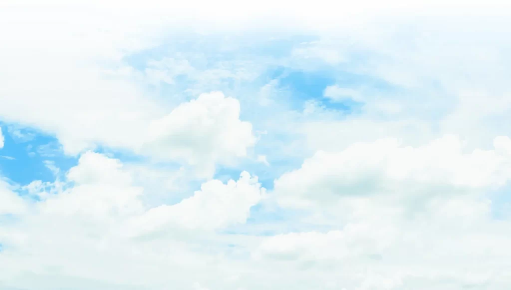 Sunny Việt Nam | Công Ty TNHH Xuất Nhập Khẩu Sunny Việt Nam